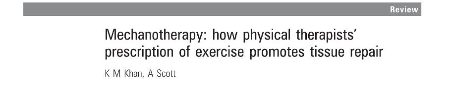 Mechanotherapy: how physical therapists’ prescription of exercise ...